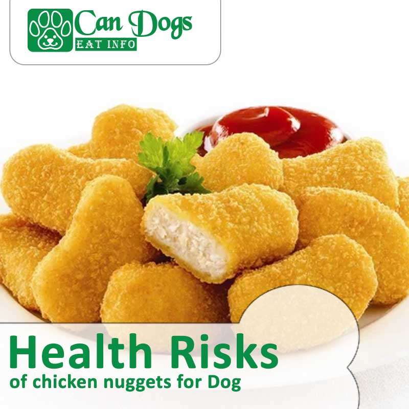 Can Dogs Eat Chicken Nuggets? Is It Safe? (2024)