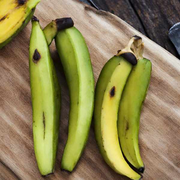 Can Dogs Eat Plantains? Is it Safe for Dogs? (2024)